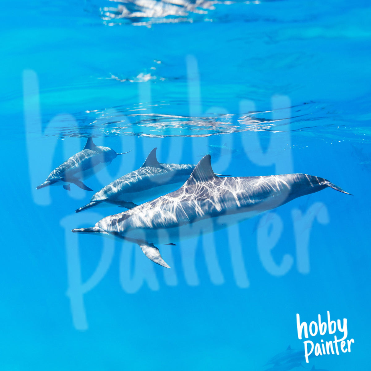 Schilderen op nummer Dolfijnen onder water – Hobby Painter