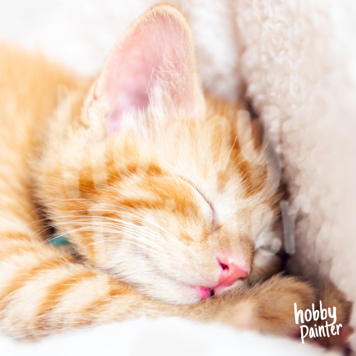 Diamond Painting Slapende Kitten Rood – Hobby Painter