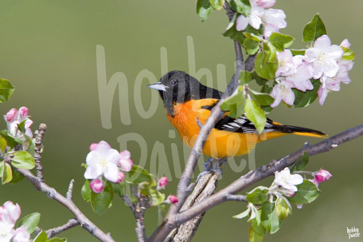 Diamond Painting Bloesem met vogel – Hobby Painter